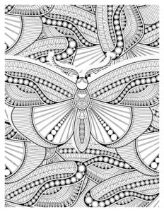 Whimsical Butterfly Coloring Pages - Artistic Inspiration Awaits