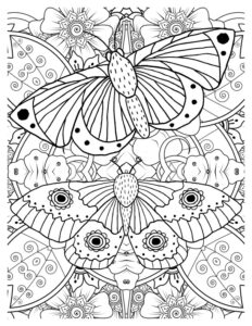 Whimsical Butterfly Coloring Pages - Artistic Inspiration Awaits