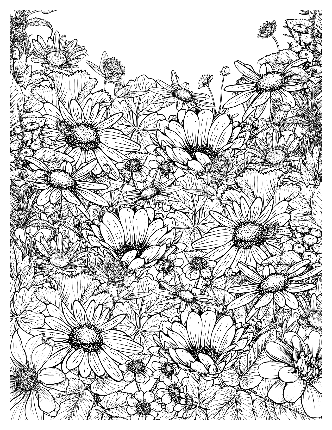 Meadow Bloom Coloring Pages: Creative Nature Designs for All