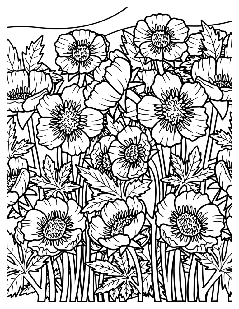Meadow Bloom Coloring Pages: Creative Nature Designs for All