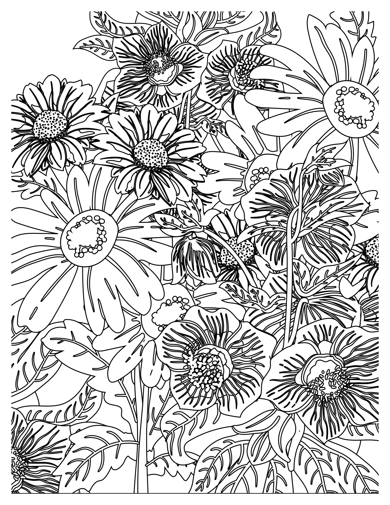 Meadow Bloom Coloring Pages: Creative Nature Designs for All