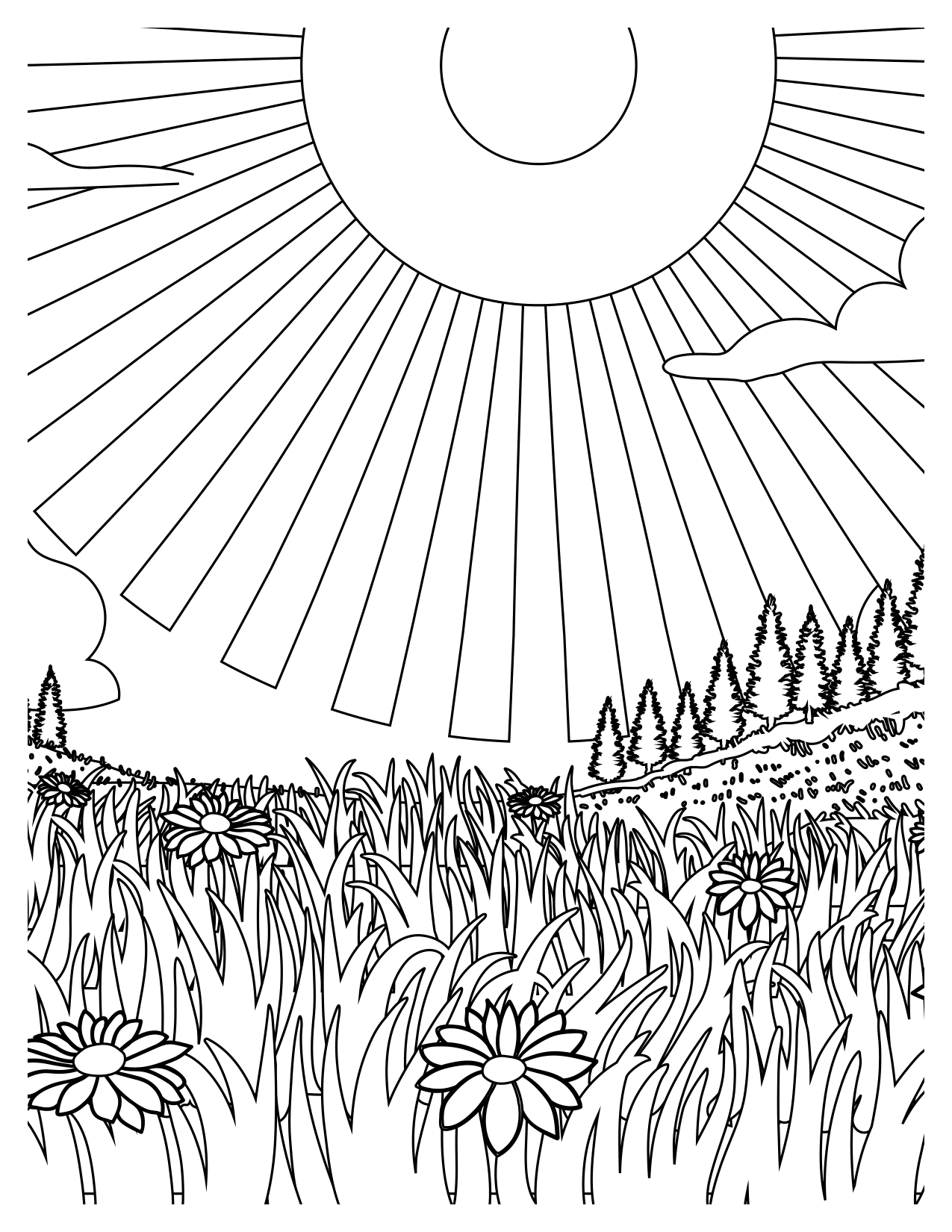 Meadow Bloom Coloring Pages: Creative Nature Designs for All
