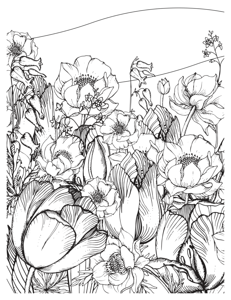 Meadow Bloom Coloring Pages: Creative Nature Designs for All