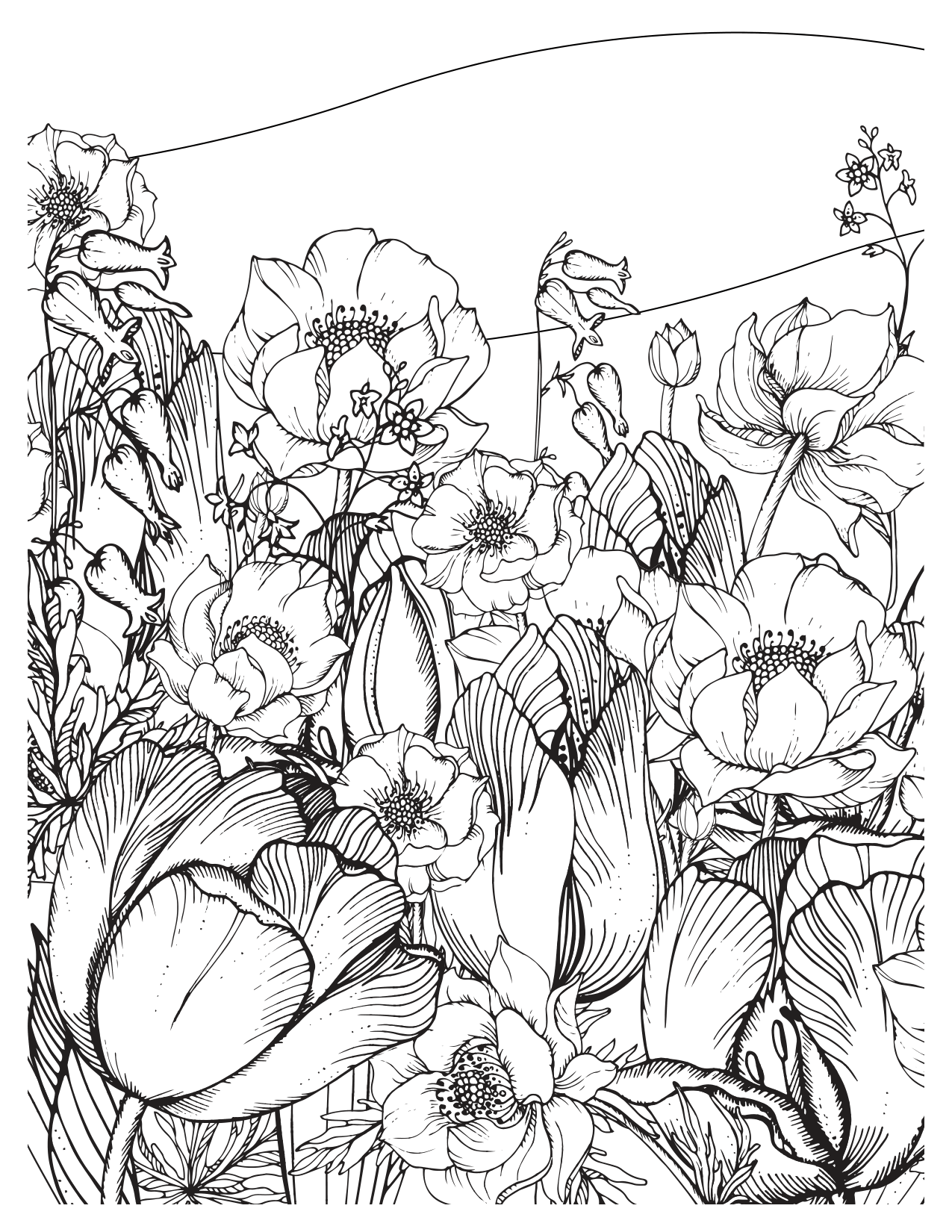 Meadow Bloom Coloring Pages: Creative Nature Designs for All