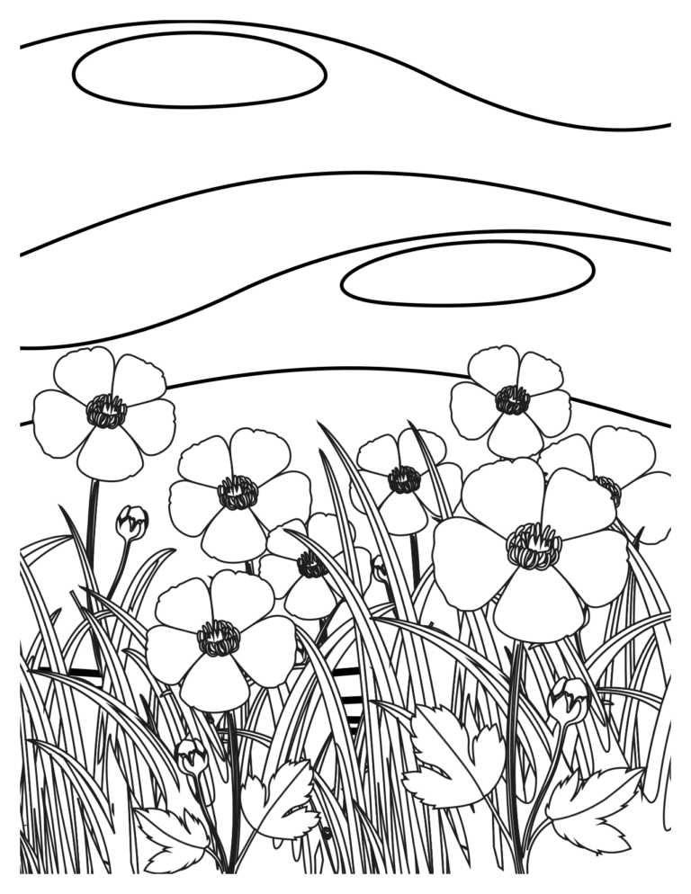 Meadow Bloom Coloring Pages: Creative Nature Designs for All