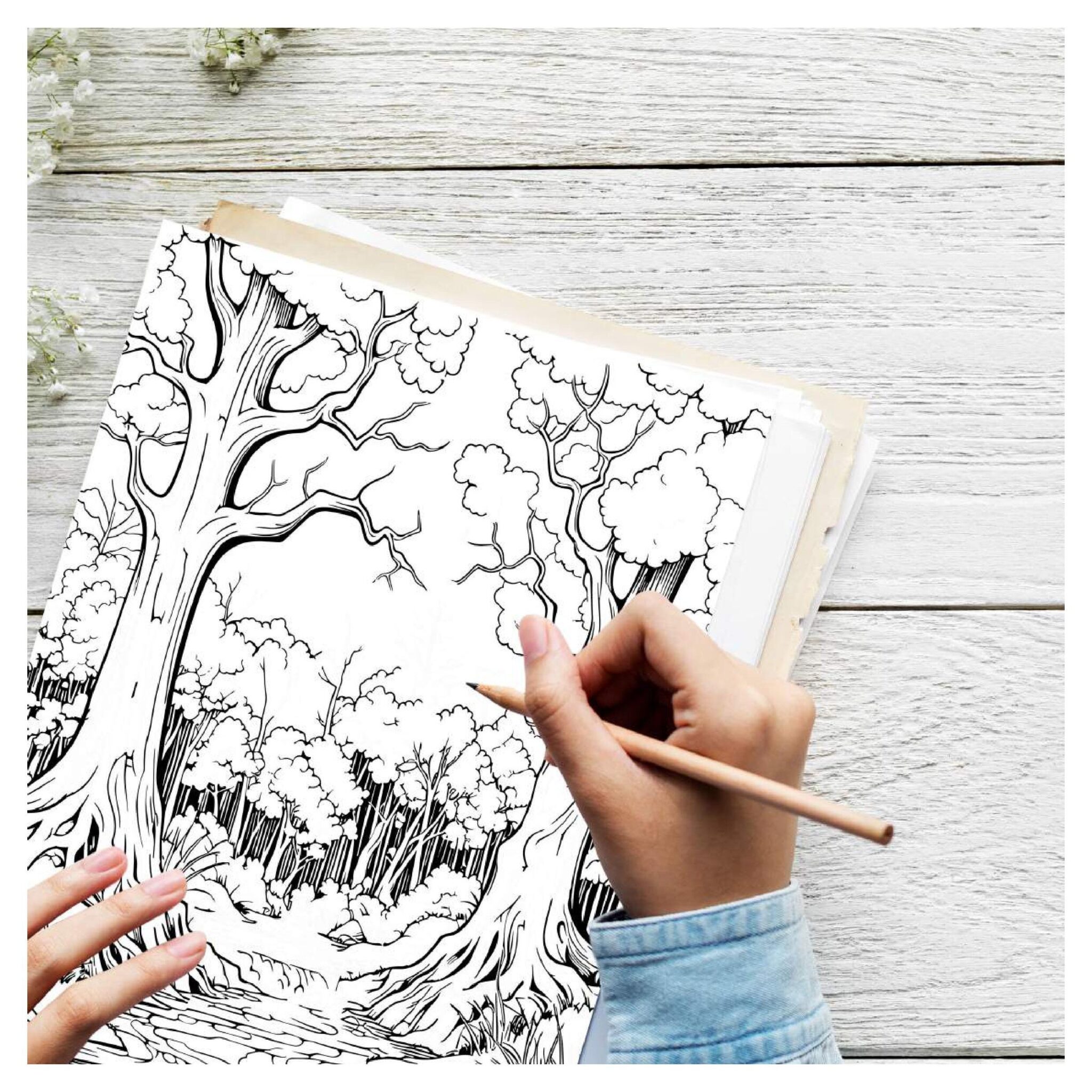 Tree of Life Coloring Pages for All Ages | Educational and Artistic