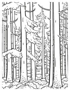 Tree of Life Coloring Pages for All Ages | Educational and Artistic