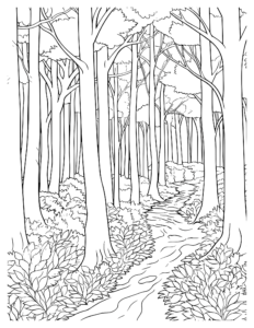 Tree of Life Coloring Pages for All Ages | Educational and Artistic