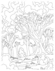 Tree of Life Coloring Pages for All Ages | Educational and Artistic