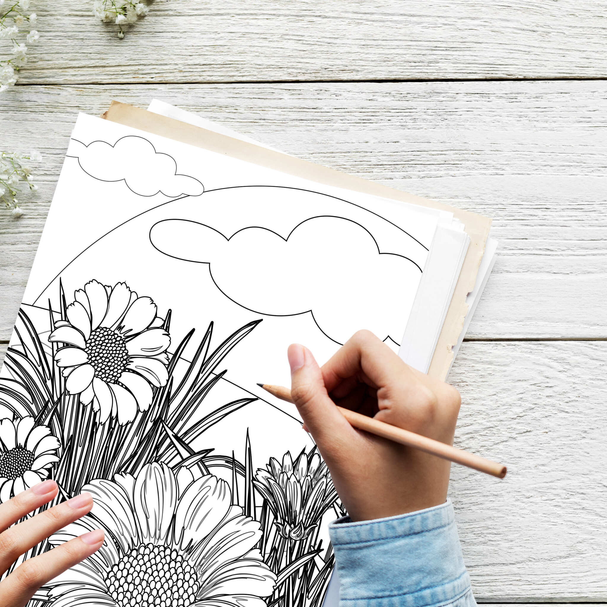 Meadow Bloom Coloring Pages: Creative Nature Designs for All