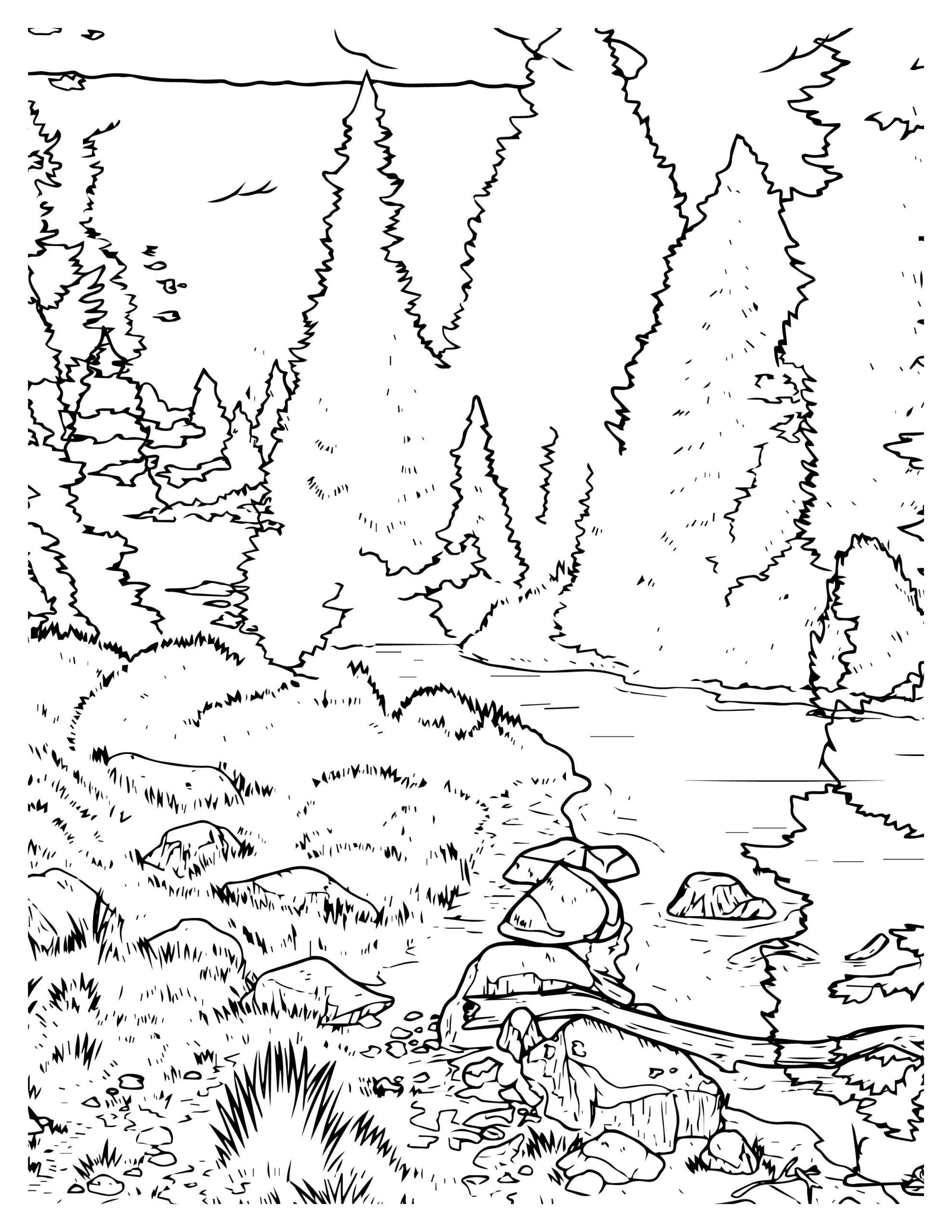Forest Haven Coloring Pages: Explore Nature's Beauty