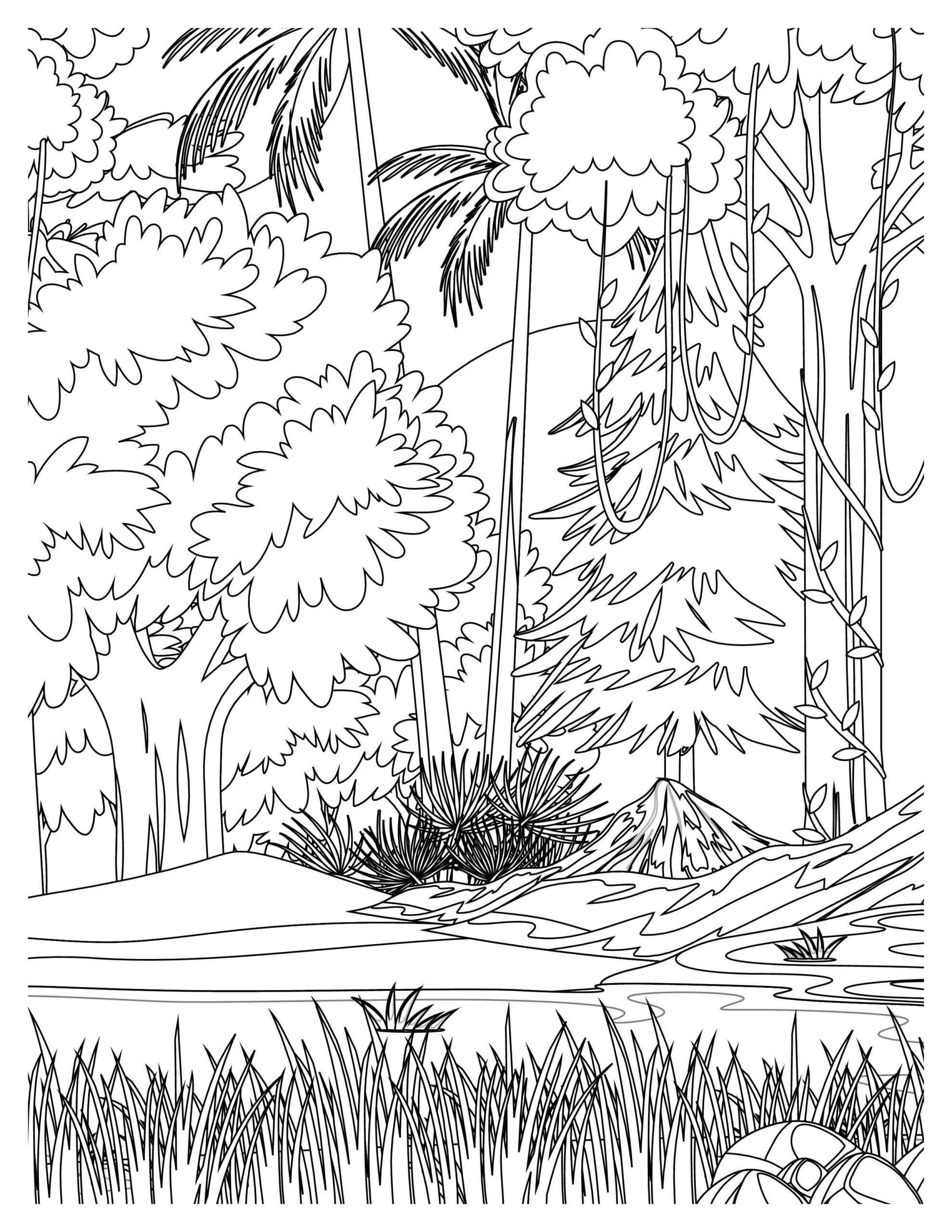 Forest Haven Coloring Pages: Explore Nature's Beauty