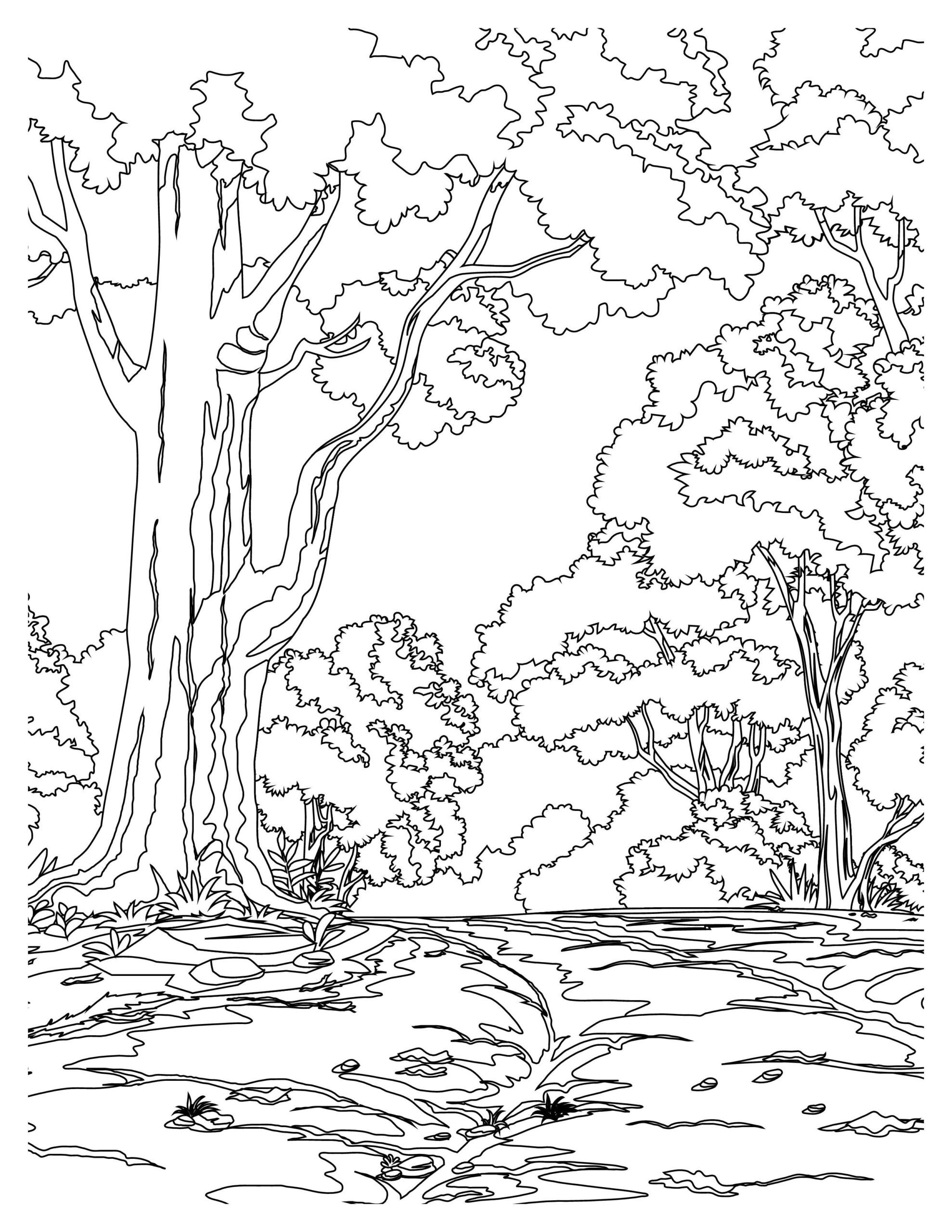 Forest Haven Coloring Pages: Explore Nature's Beauty