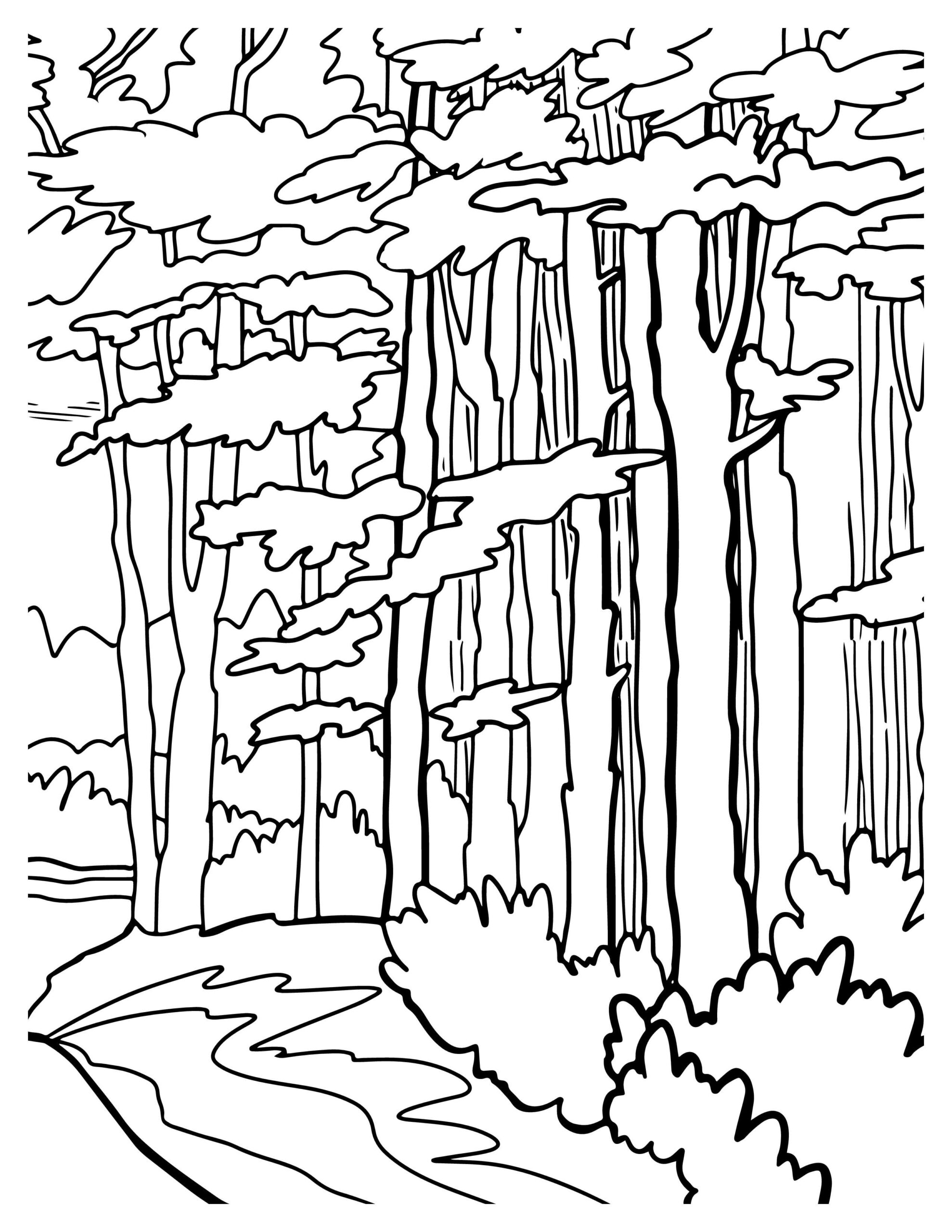 Forest Haven Coloring Pages: Explore Nature's Beauty