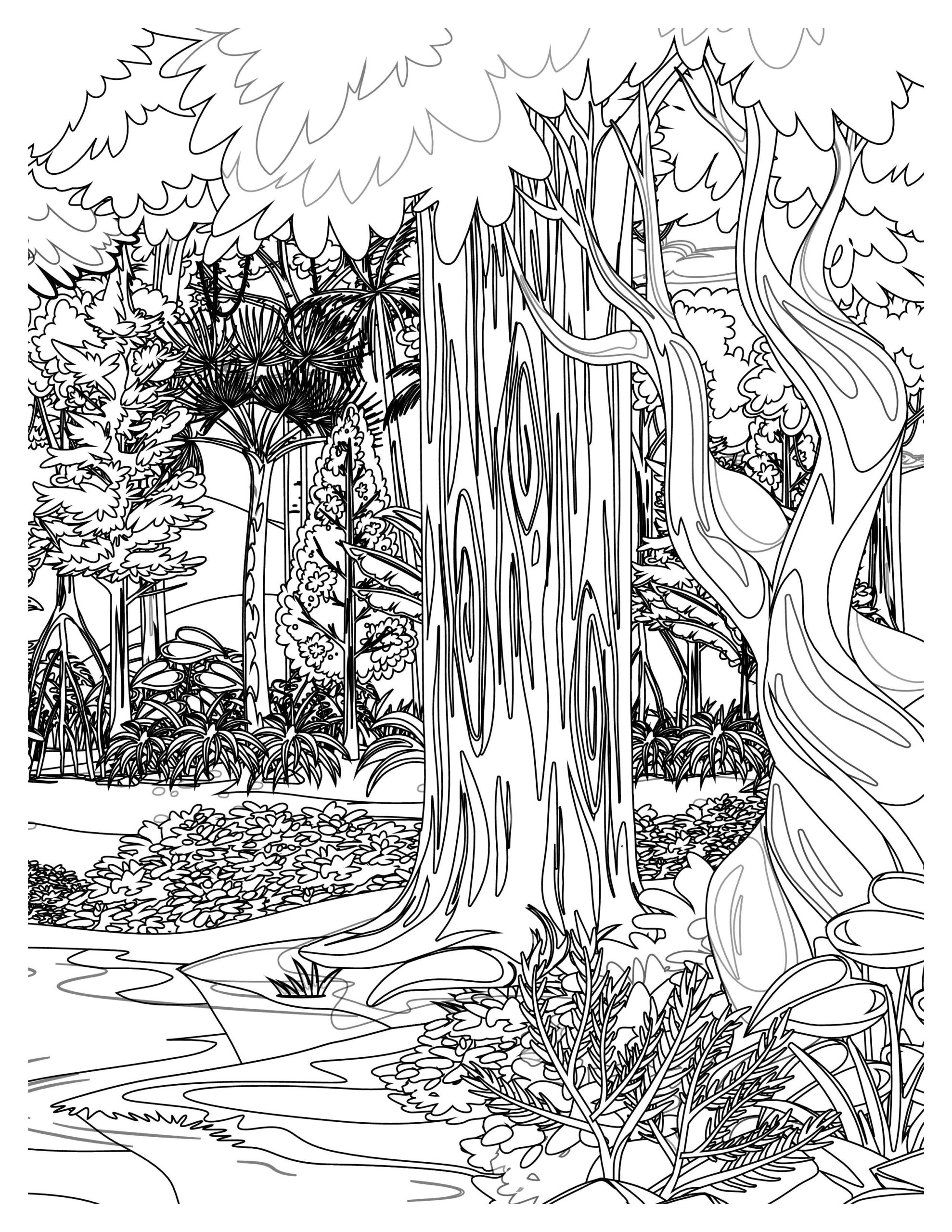 Forest Haven Coloring Pages: Explore Nature's Beauty
