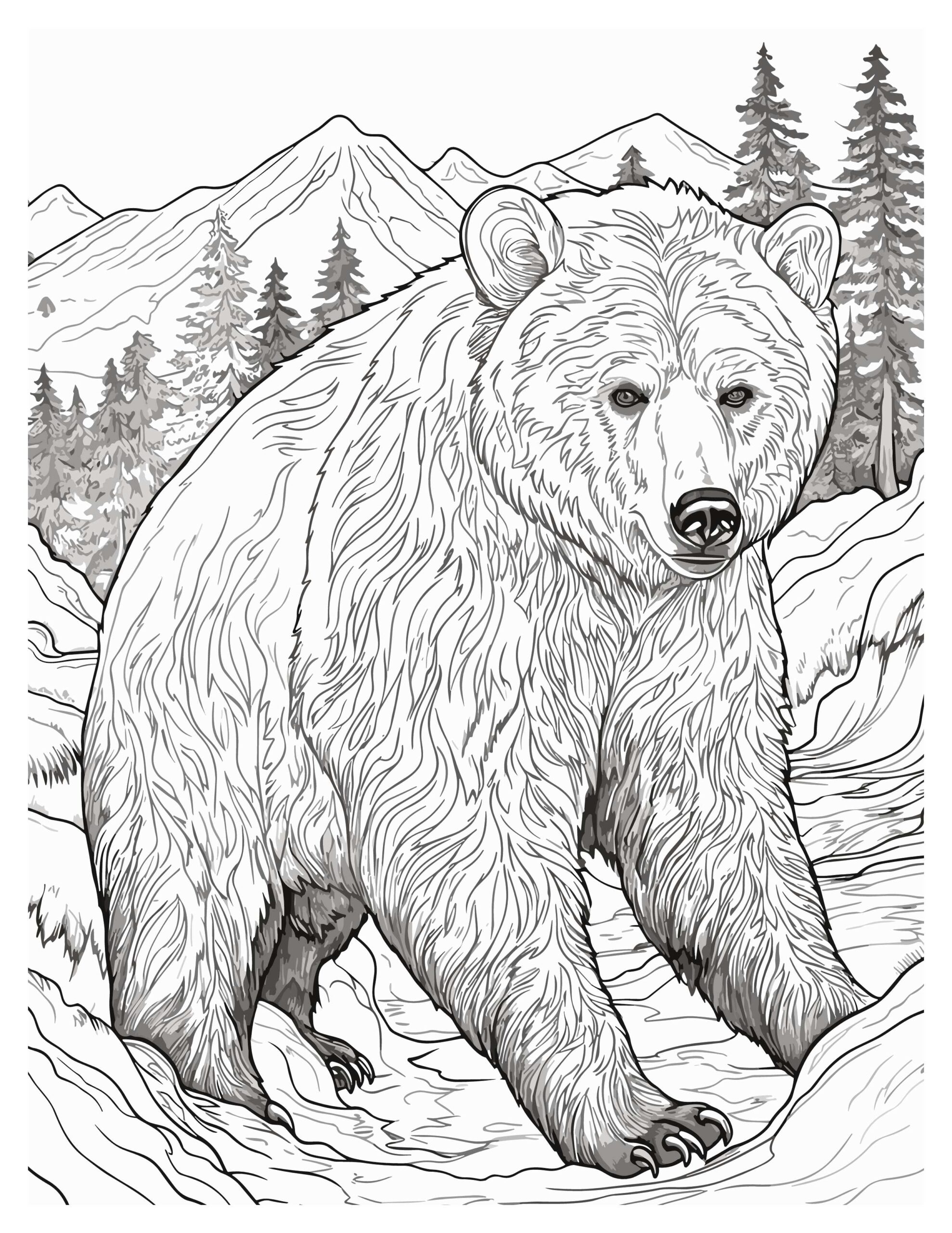 Bear Adventure Coloring Pages for Kids : Roaring Fun