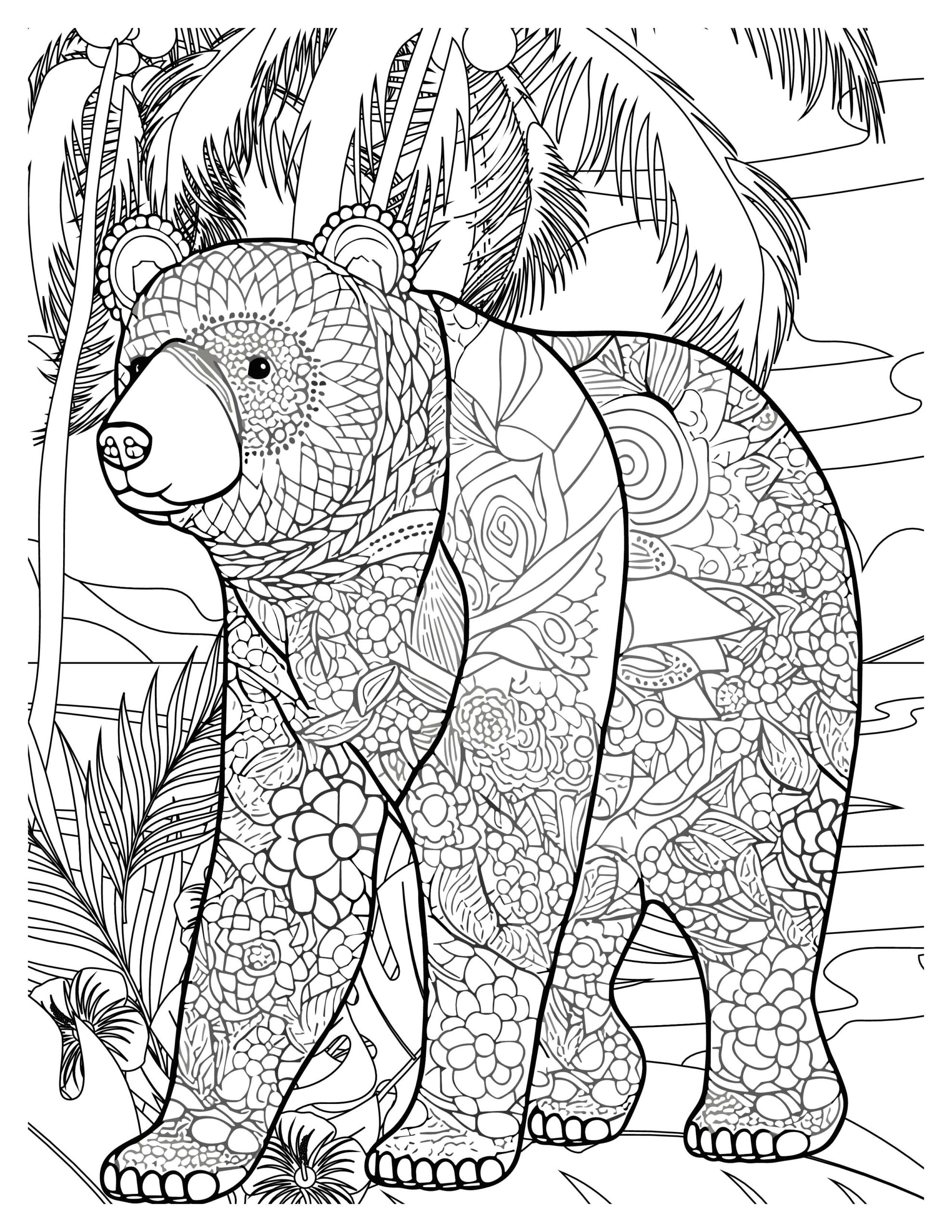 Bear Adventure Coloring Pages for Kids : Roaring Fun