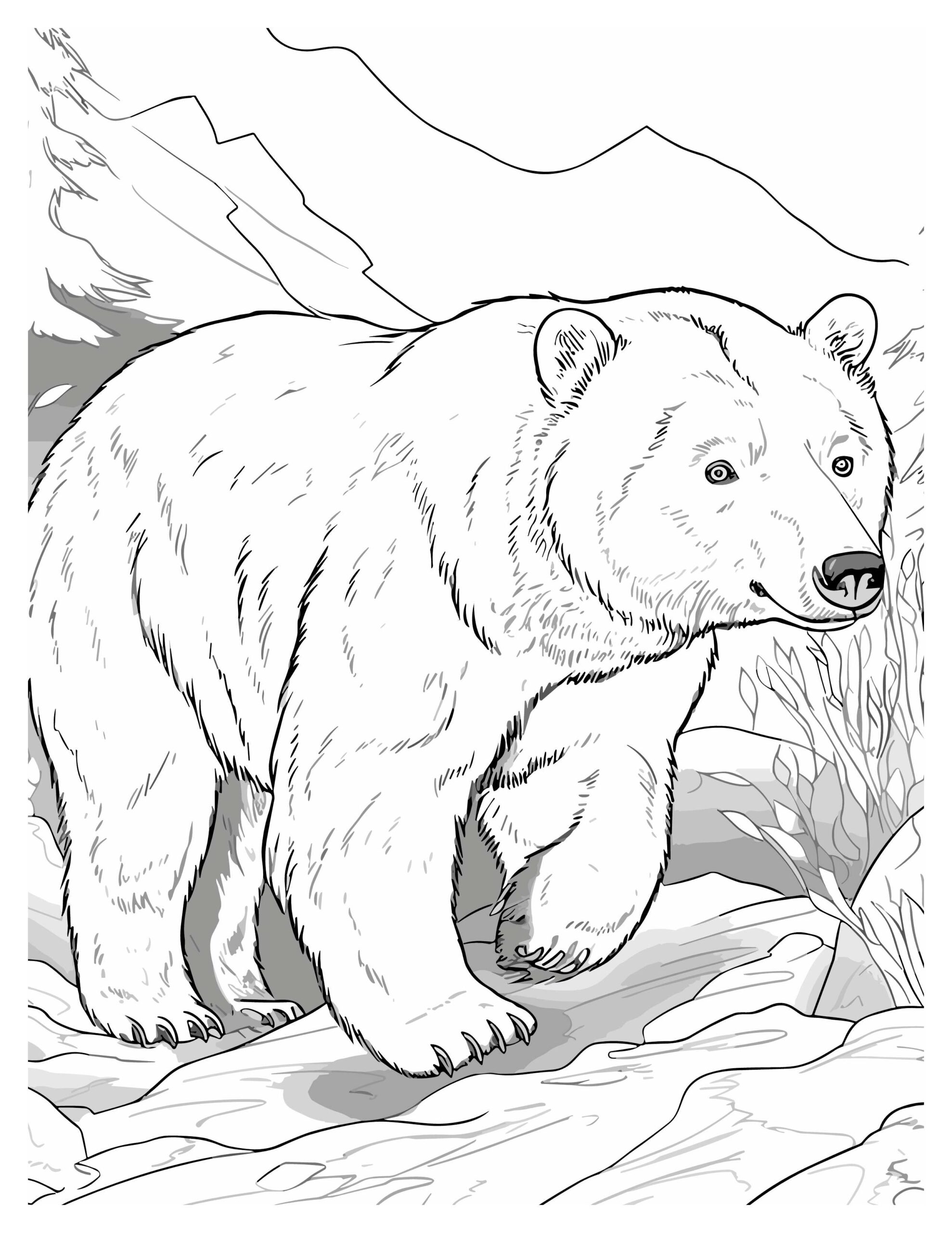 Bear Adventure Coloring Pages for Kids : Roaring Fun