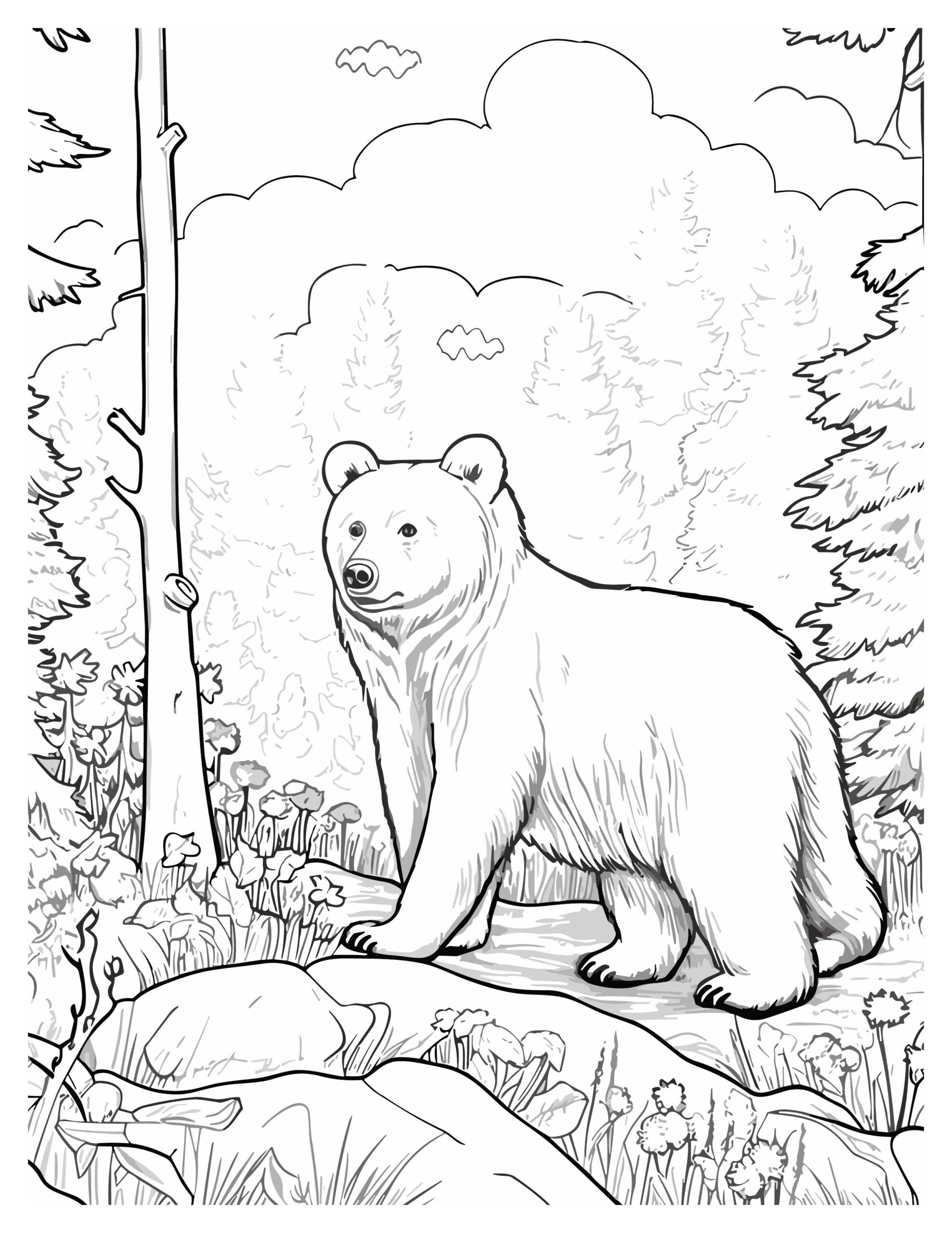 Bear Adventure Coloring Pages for Kids : Roaring Fun