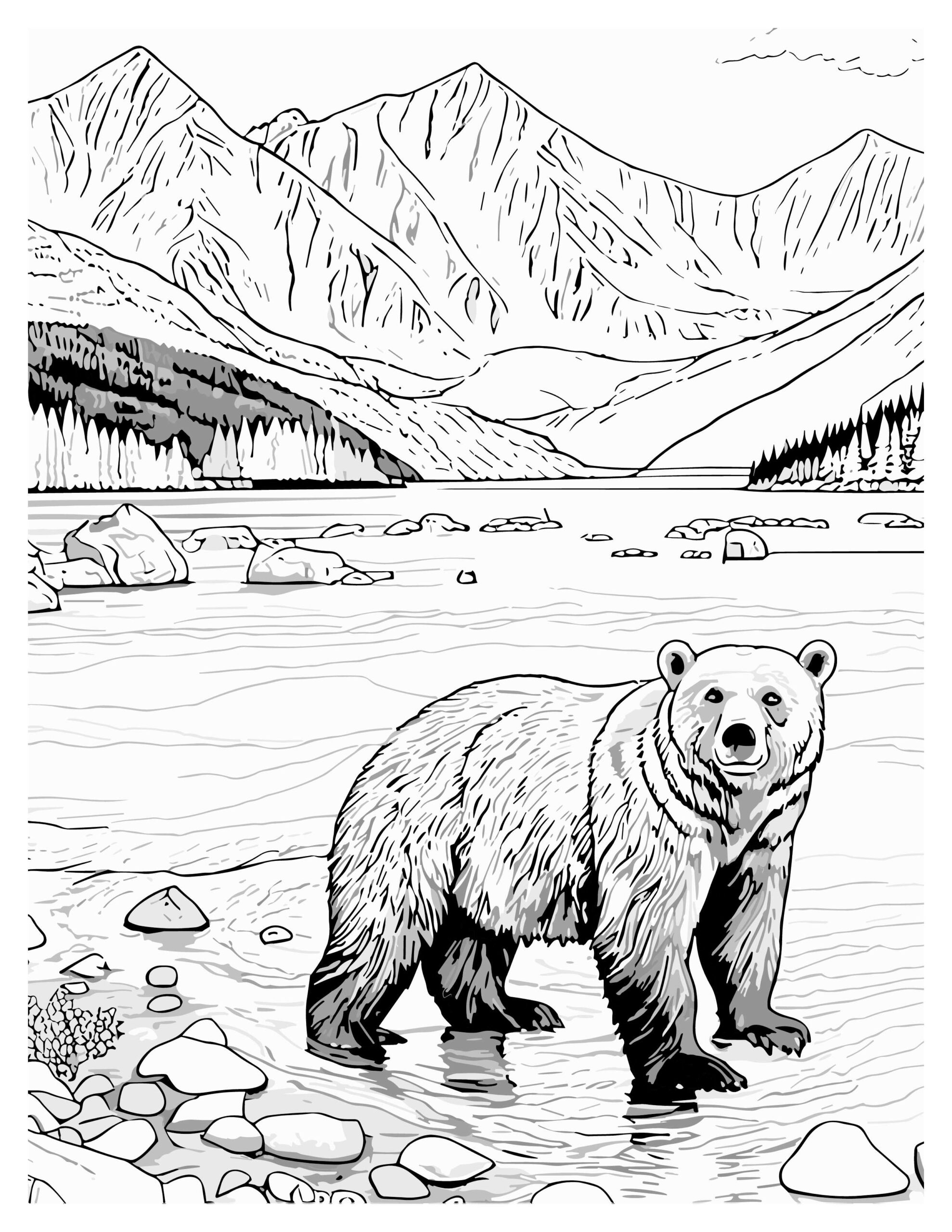 Bear Adventure Coloring Pages for Kids : Roaring Fun
