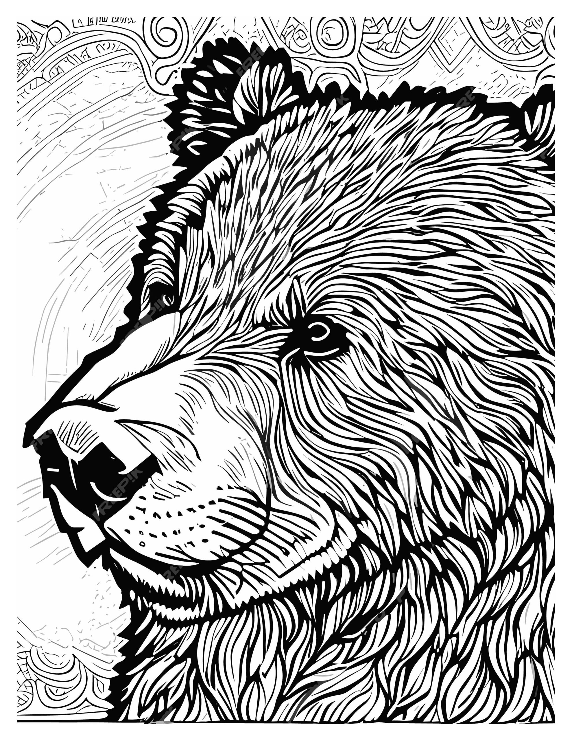 Bear Adventure Coloring Pages for Kids : Roaring Fun