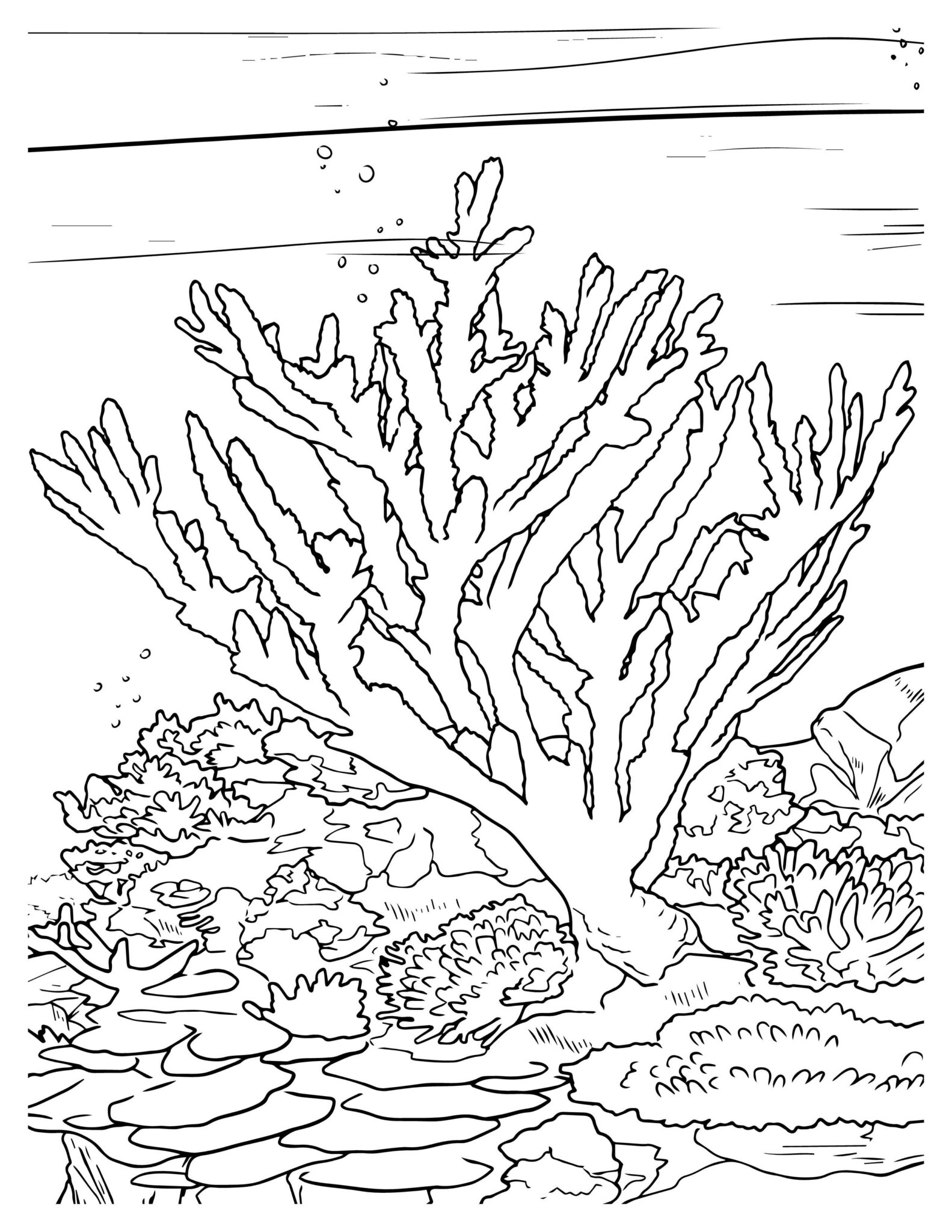 Majestic Oceanic Depths Coloring Pages | Discover The Mysteries