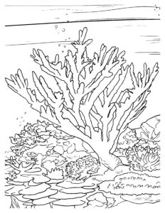 Majestic Oceanic Depths Coloring Pages | Discover The Mysteries