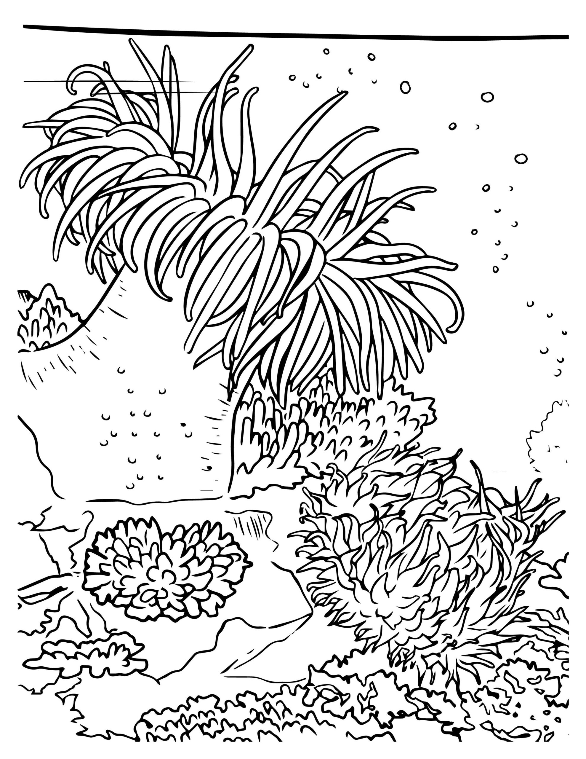 Majestic Oceanic Depths Coloring Pages | Discover The Mysteries
