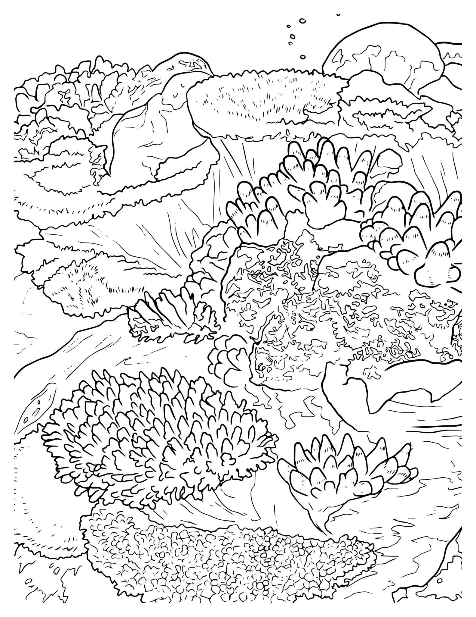 Majestic Oceanic Depths Coloring Pages | Discover The Mysteries