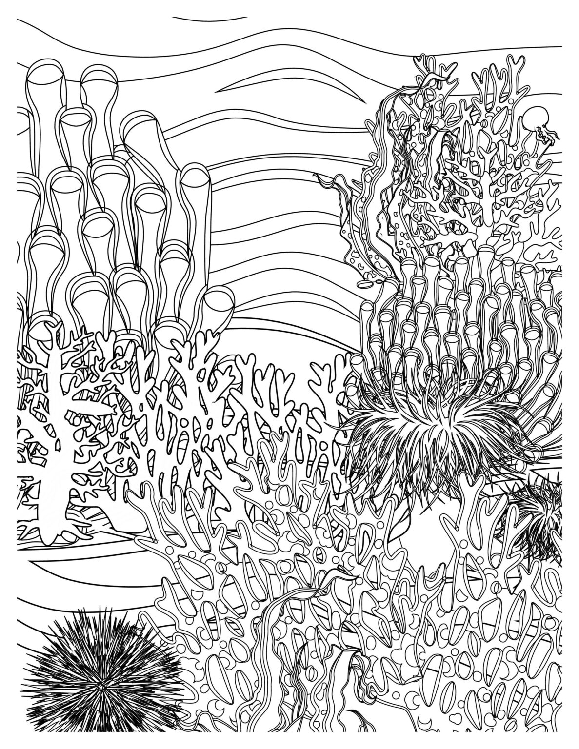 Majestic Oceanic Depths Coloring Pages | Discover The Mysteries