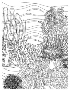 Majestic Oceanic Depths Coloring Pages | Discover The Mysteries