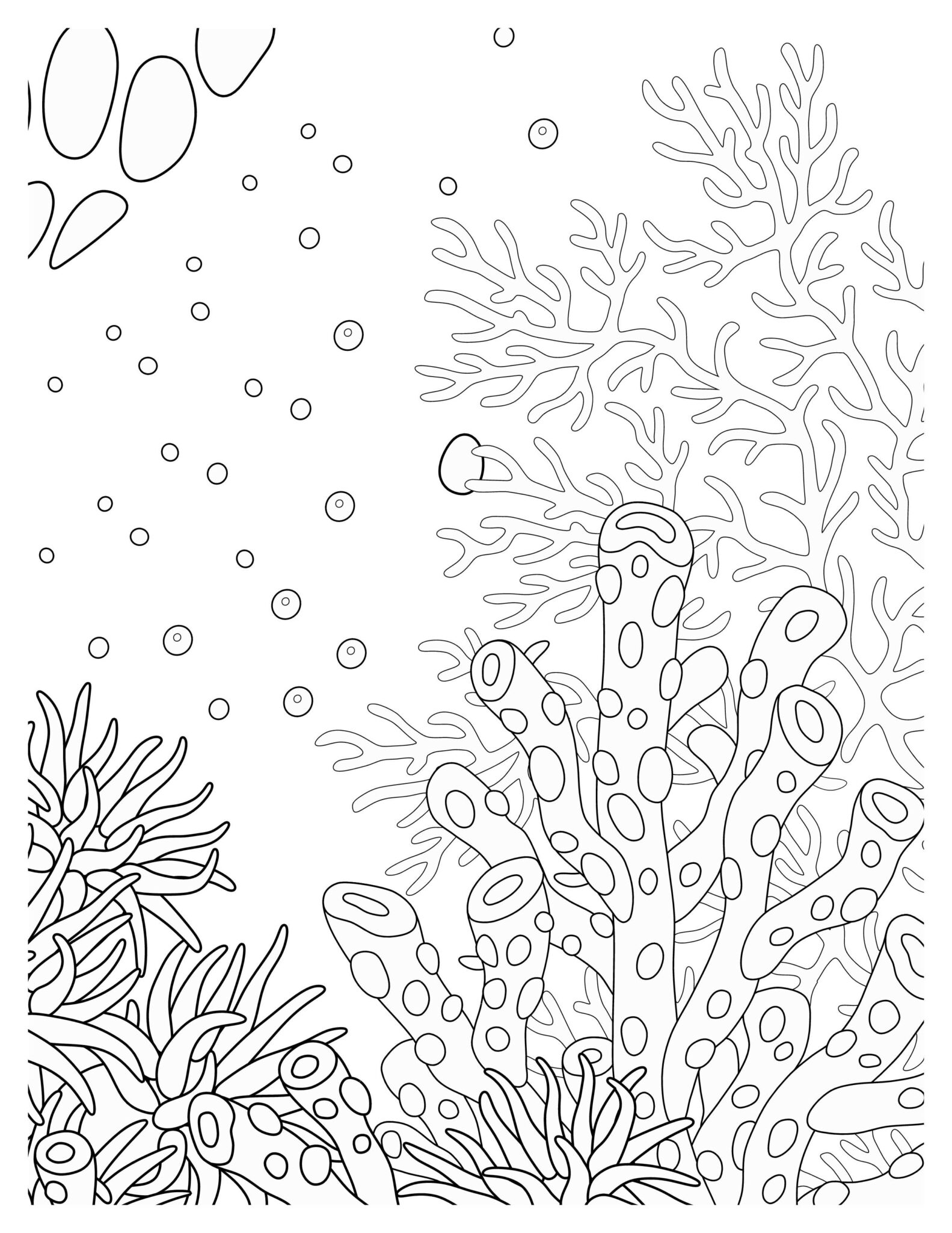 Majestic Oceanic Depths Coloring Pages | Discover The Mysteries
