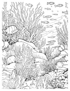 Majestic Oceanic Depths Coloring Pages | Discover The Mysteries