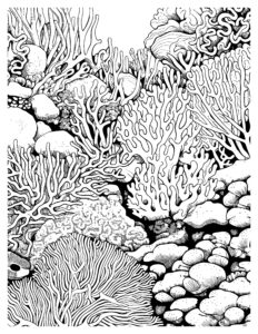 Majestic Oceanic Depths Coloring Pages | Discover The Mysteries