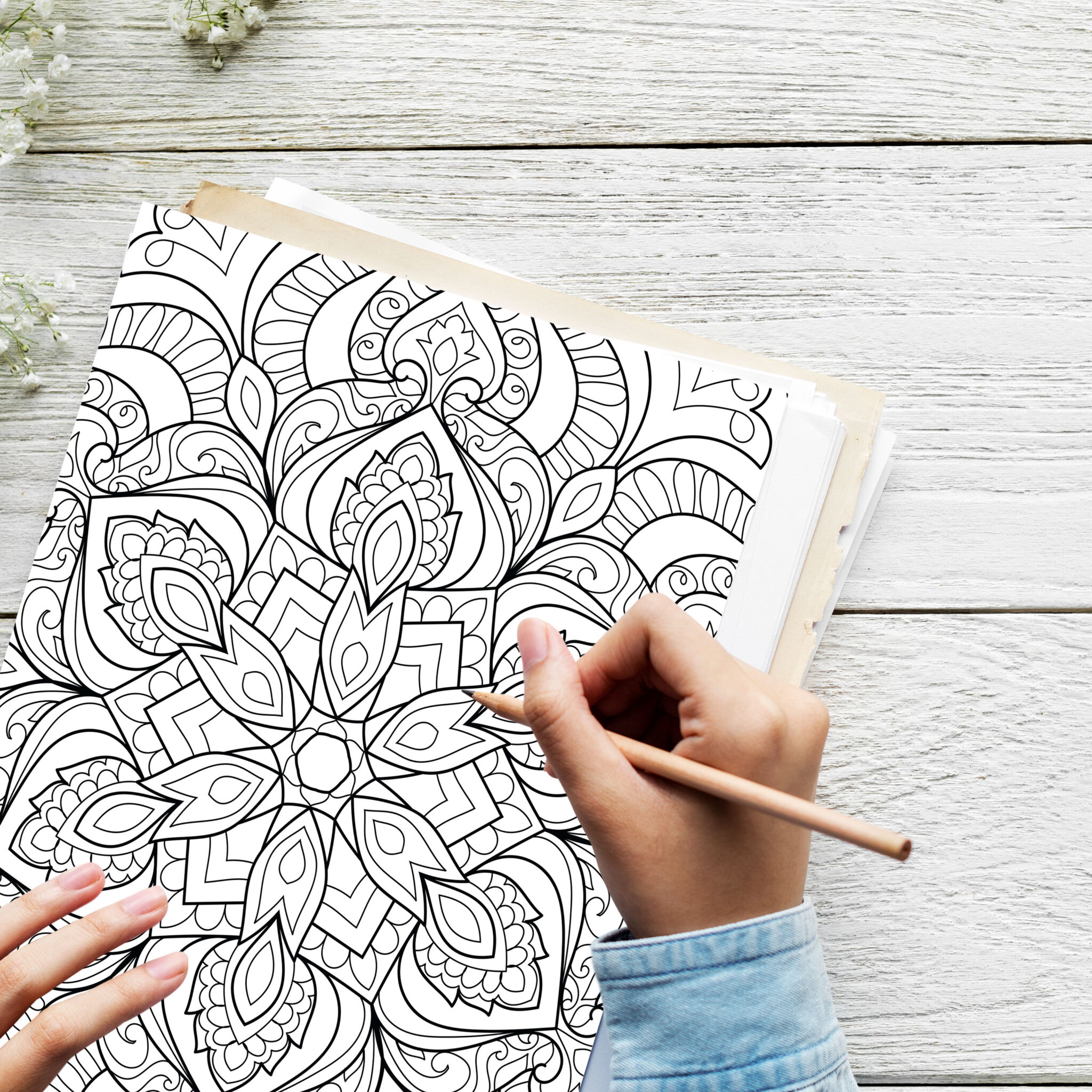 Intricate Design Coloring Pages: Explore Creative Patterns