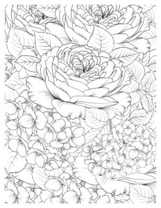 Vintage Botanical Coloring Pages | Unique Designs