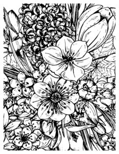 Vintage Botanical Coloring Pages | Unique Designs
