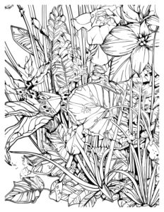 Vintage Botanical Coloring Pages | Unique Designs