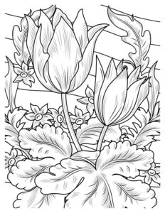 Vintage Botanical Coloring Pages | Unique Designs