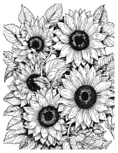 Cheerful Sunflower Coloring Pages: Brighten Your Day.
