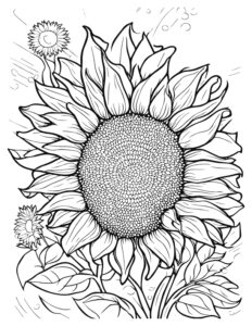 Cheerful Sunflower Coloring Pages: Brighten Your Day.