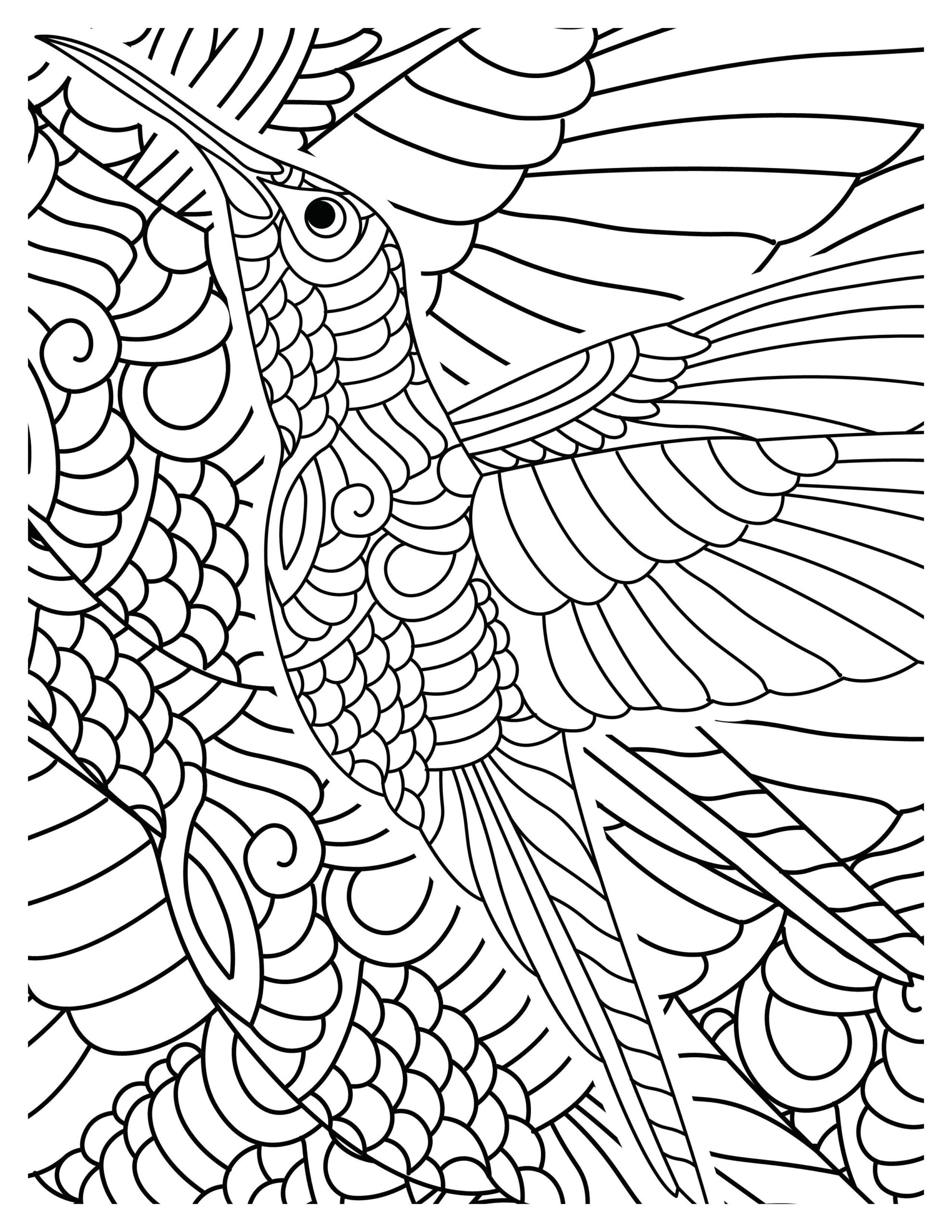 Hummingbirds Coloring Pages : Free Printable Sheets
