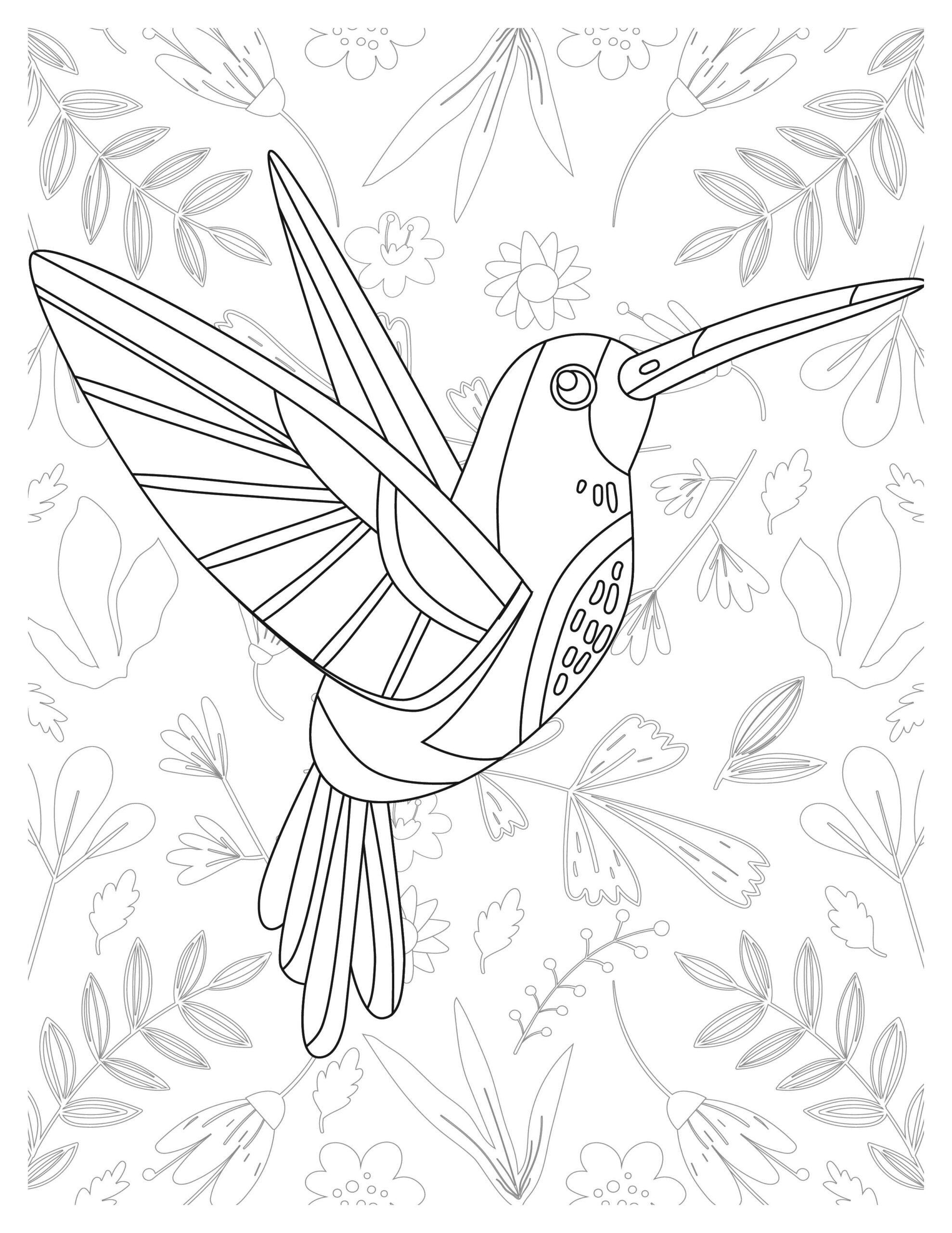 Hummingbirds Coloring Pages : Free Printable Sheets