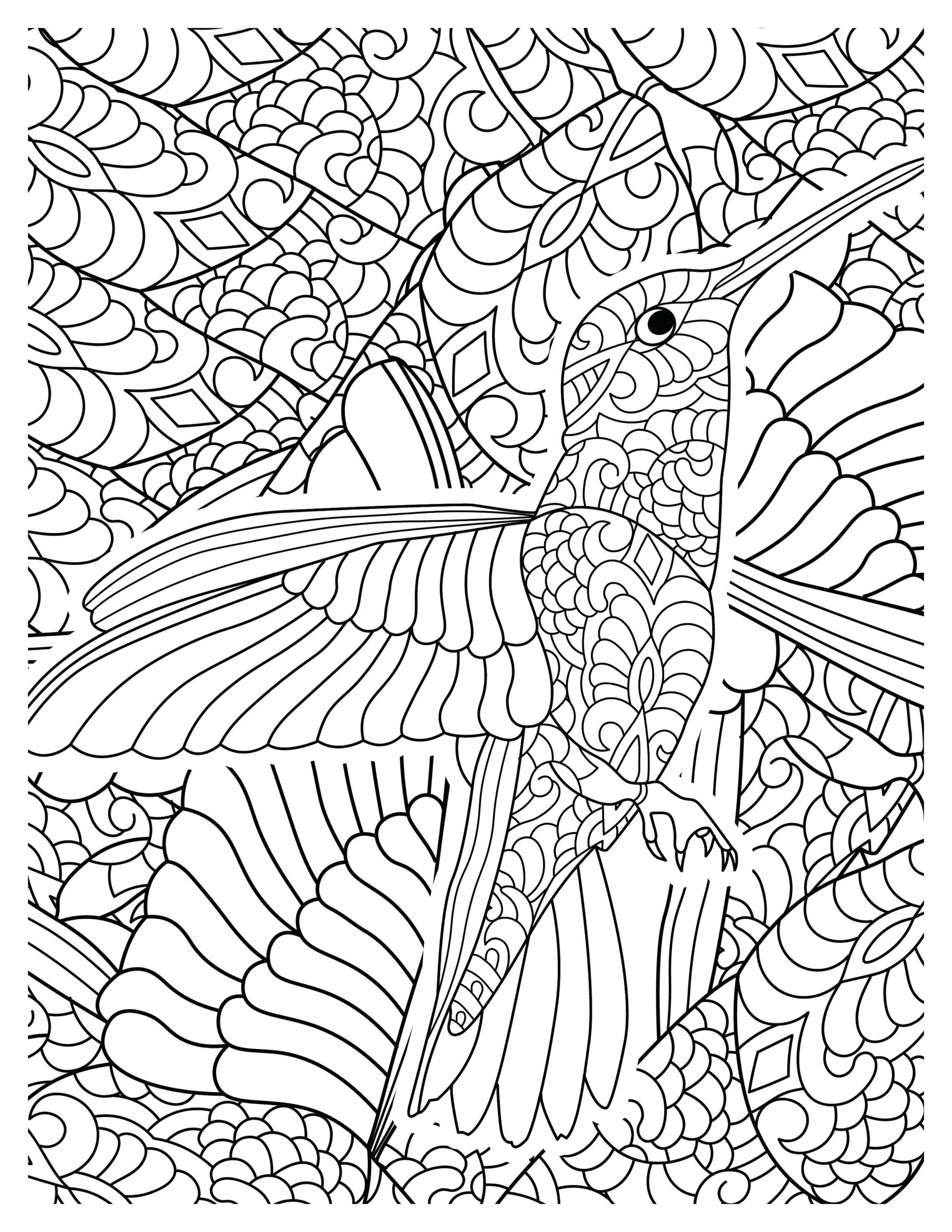 Hummingbirds Coloring Pages : Free Printable Sheets