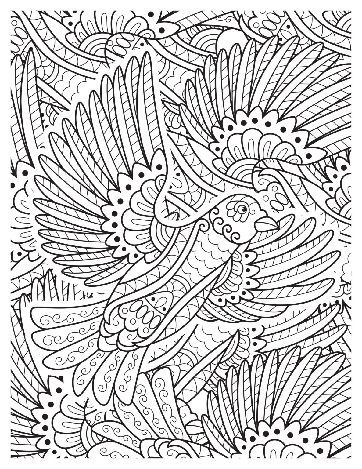 Hummingbirds Coloring Pages : Free Printable Sheets