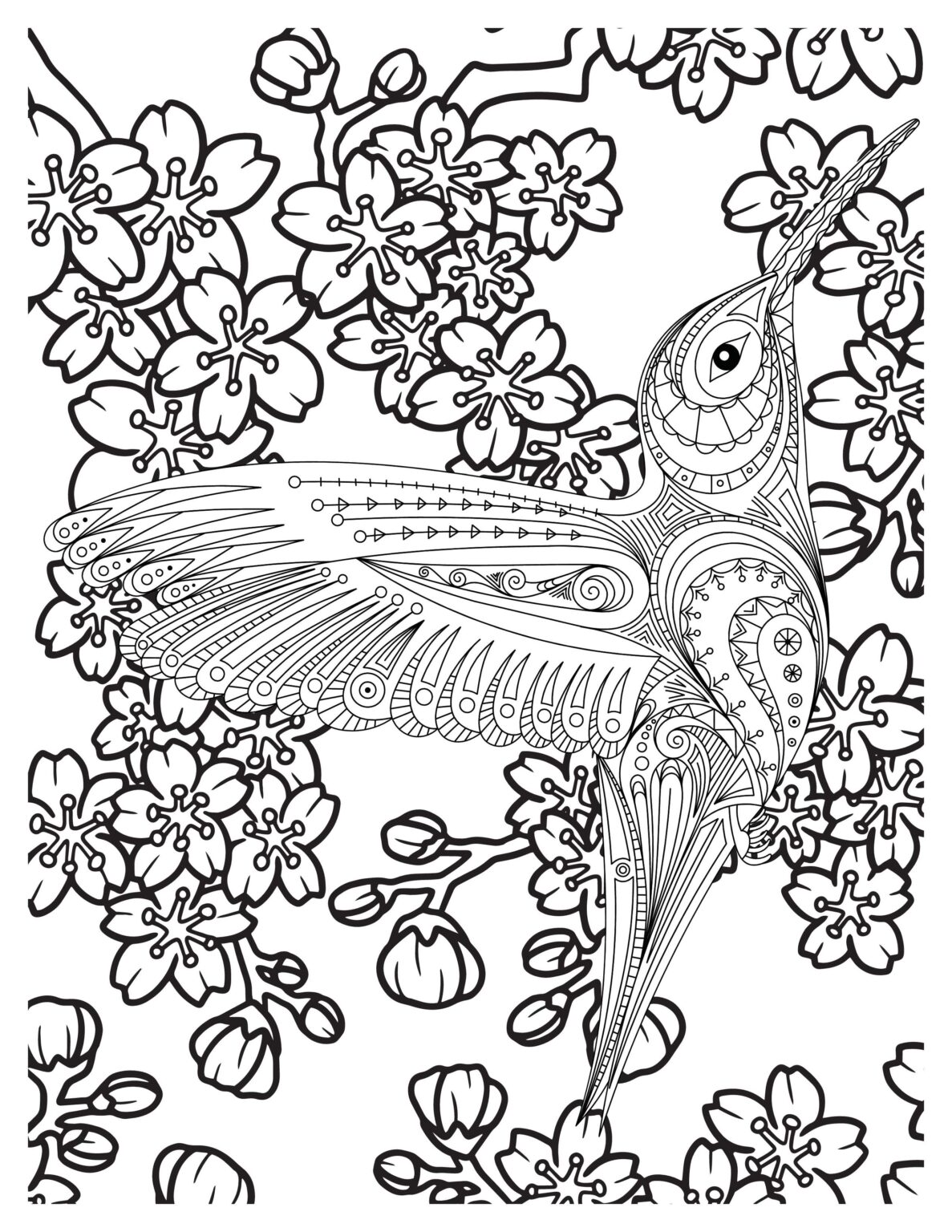 Hummingbirds Coloring Pages : Free Printable Sheets