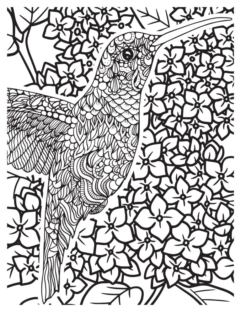 Hummingbirds Coloring Pages : Free Printable Sheets