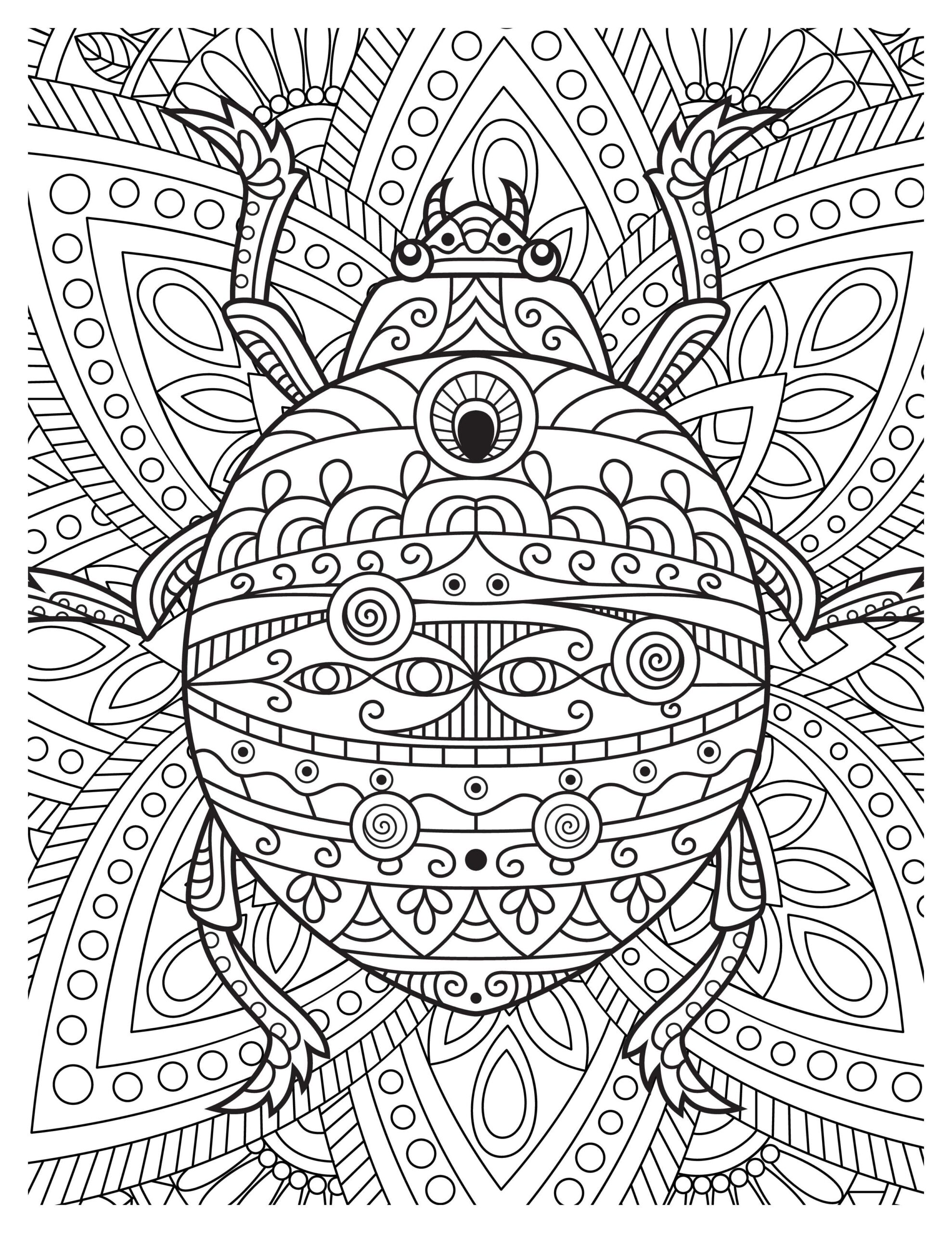 Insect Coloring Pages: Dive into Detail