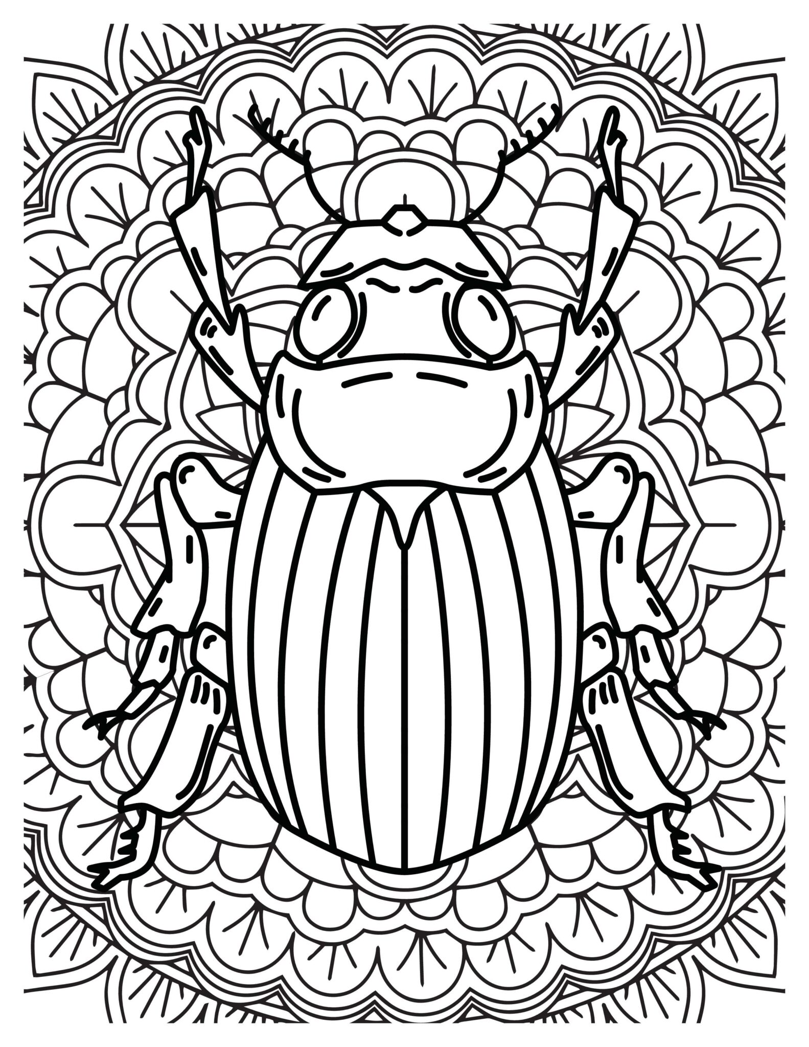 Insect Coloring Pages: Dive into Detail