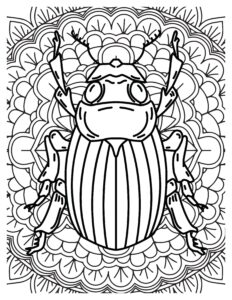 Insect Coloring Pages: Dive into Detail